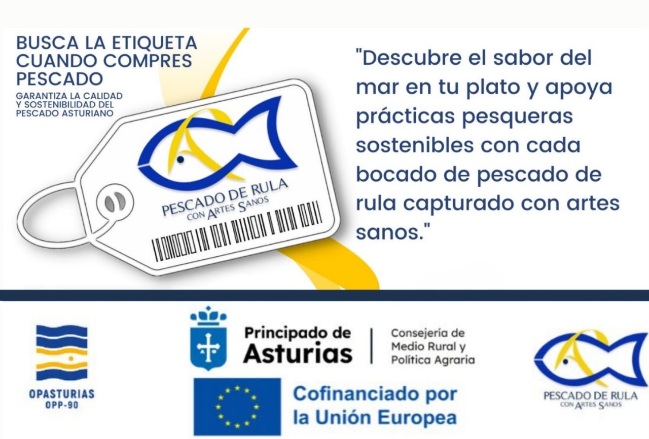 🛡️ El Sello Ovalado: Mucho más que un código en la etiqueta ...